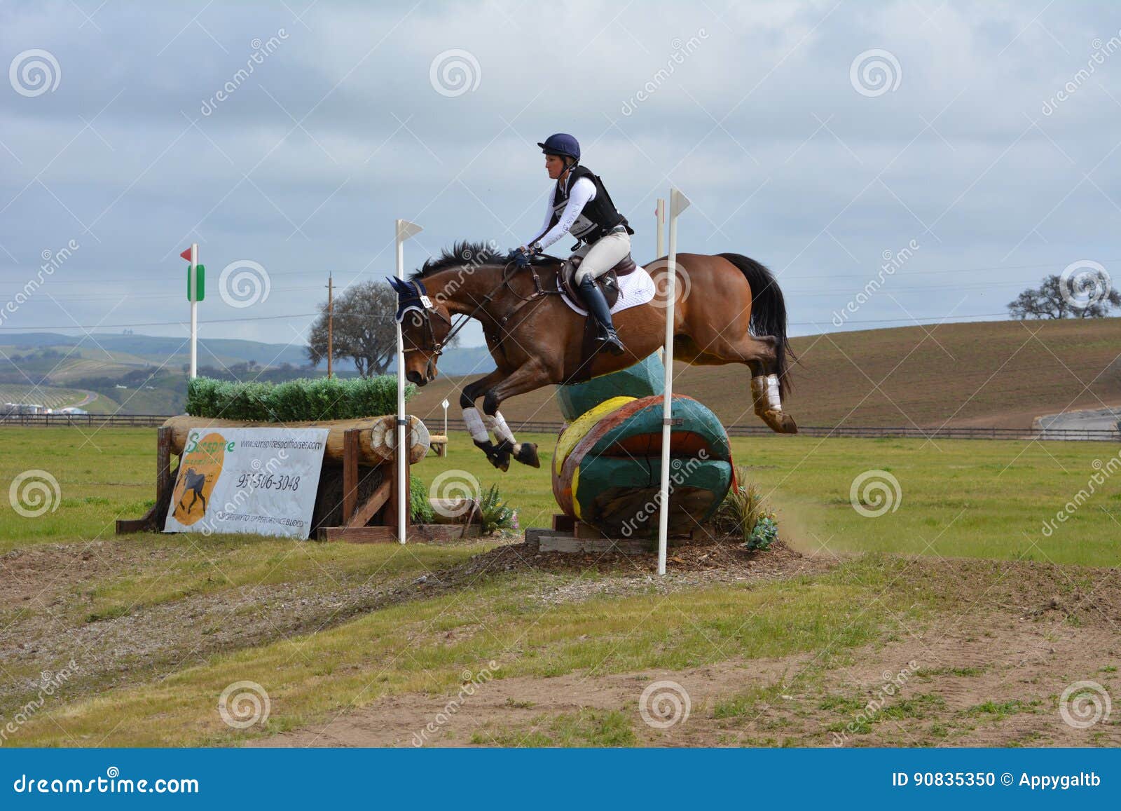 Springendes Pferd Doppelfluss-Ranch-Cross Country Eventing ...