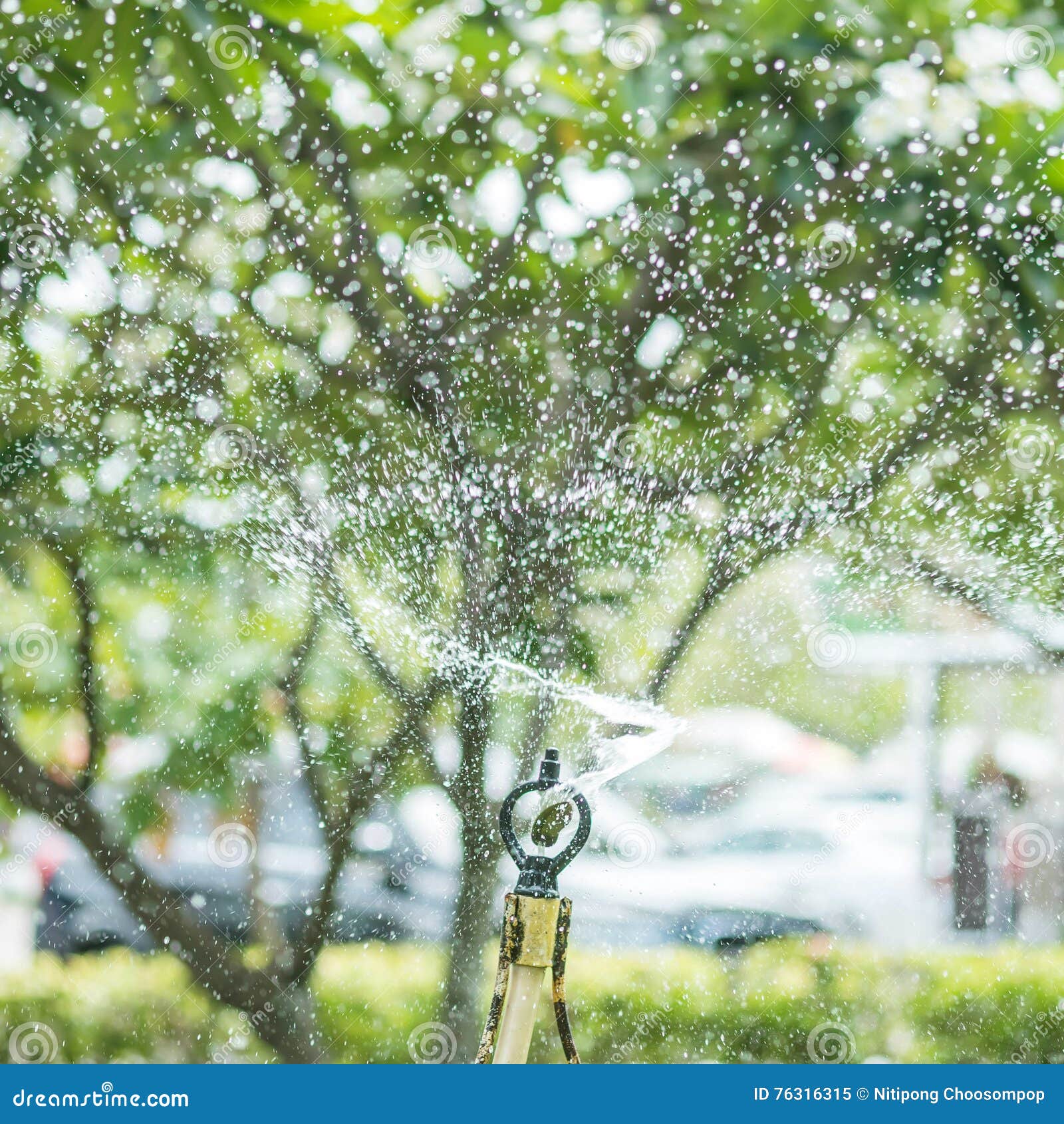 Springer , Automatic Watering is Working in the Garden Stock Image ...