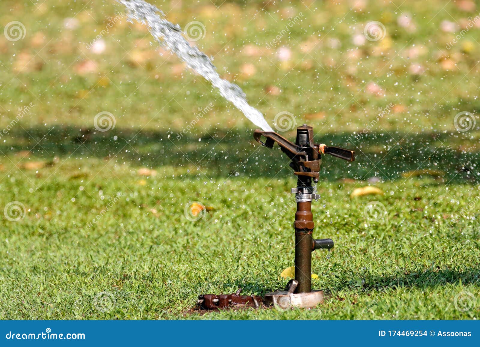 Springer is Doing Watering Plants and Lawns in the Garden Stock Photo ...