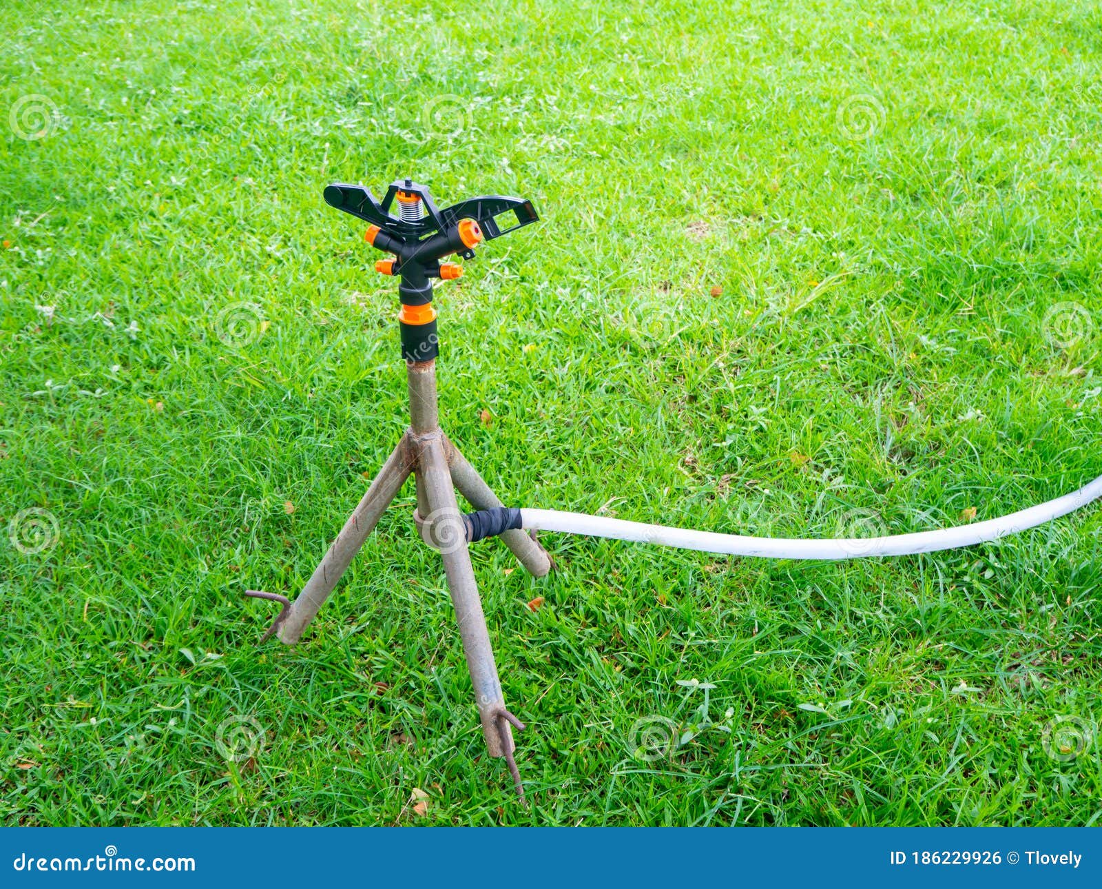 Springer is Doing Watering Plants and Lawns in the Garden Stock Photo ...