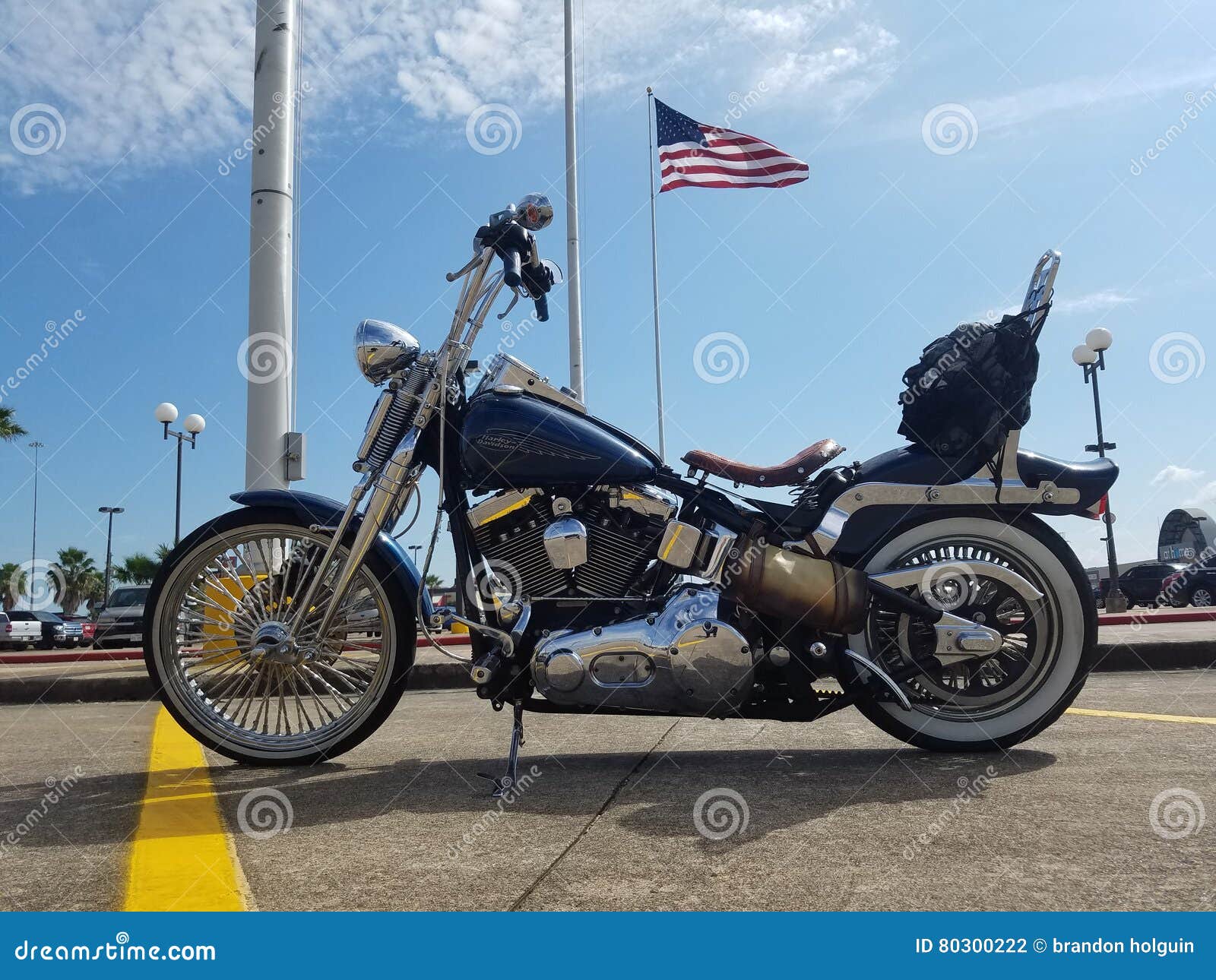 Springer editorial photography. Image of 2001softail - 80300222