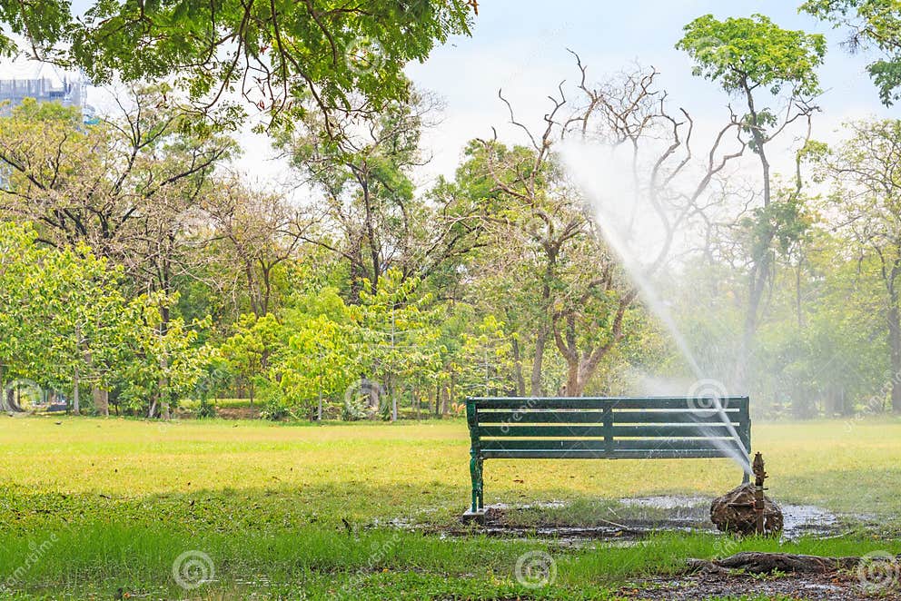 Springer Water in the Back Bench. Stock Image - Image of plant ...
