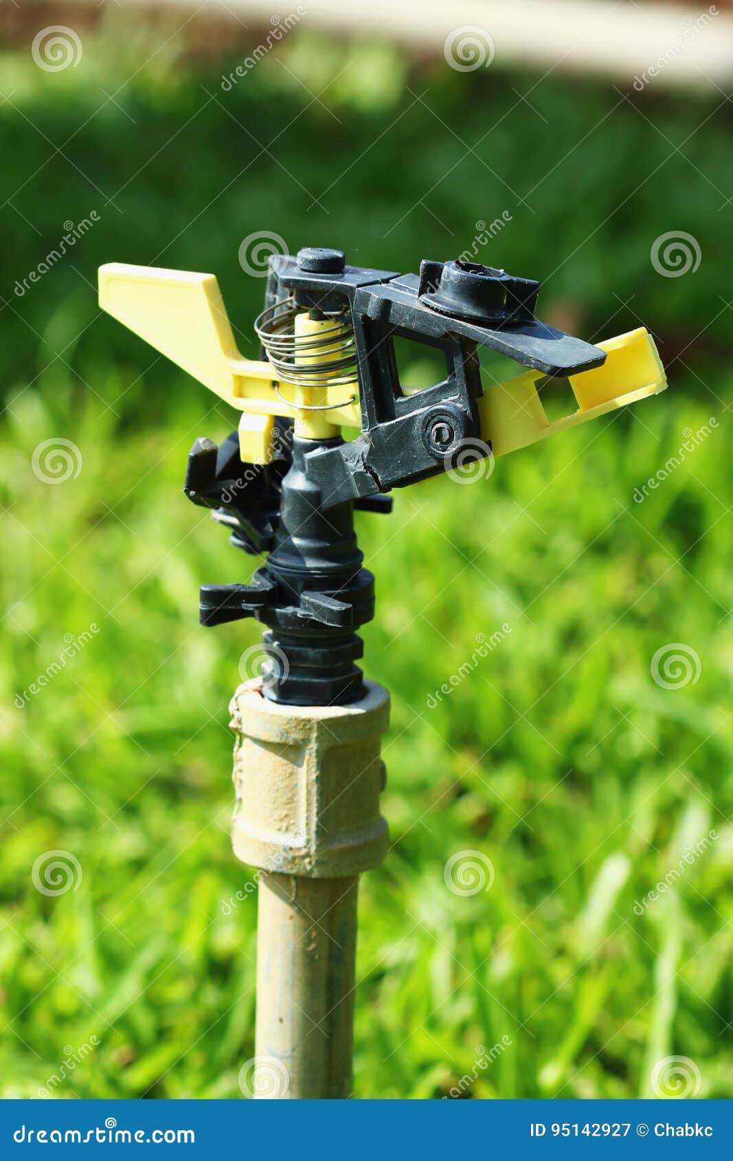 Springer Water Royalty-Free Stock Photo | CartoonDealer.com #86049135