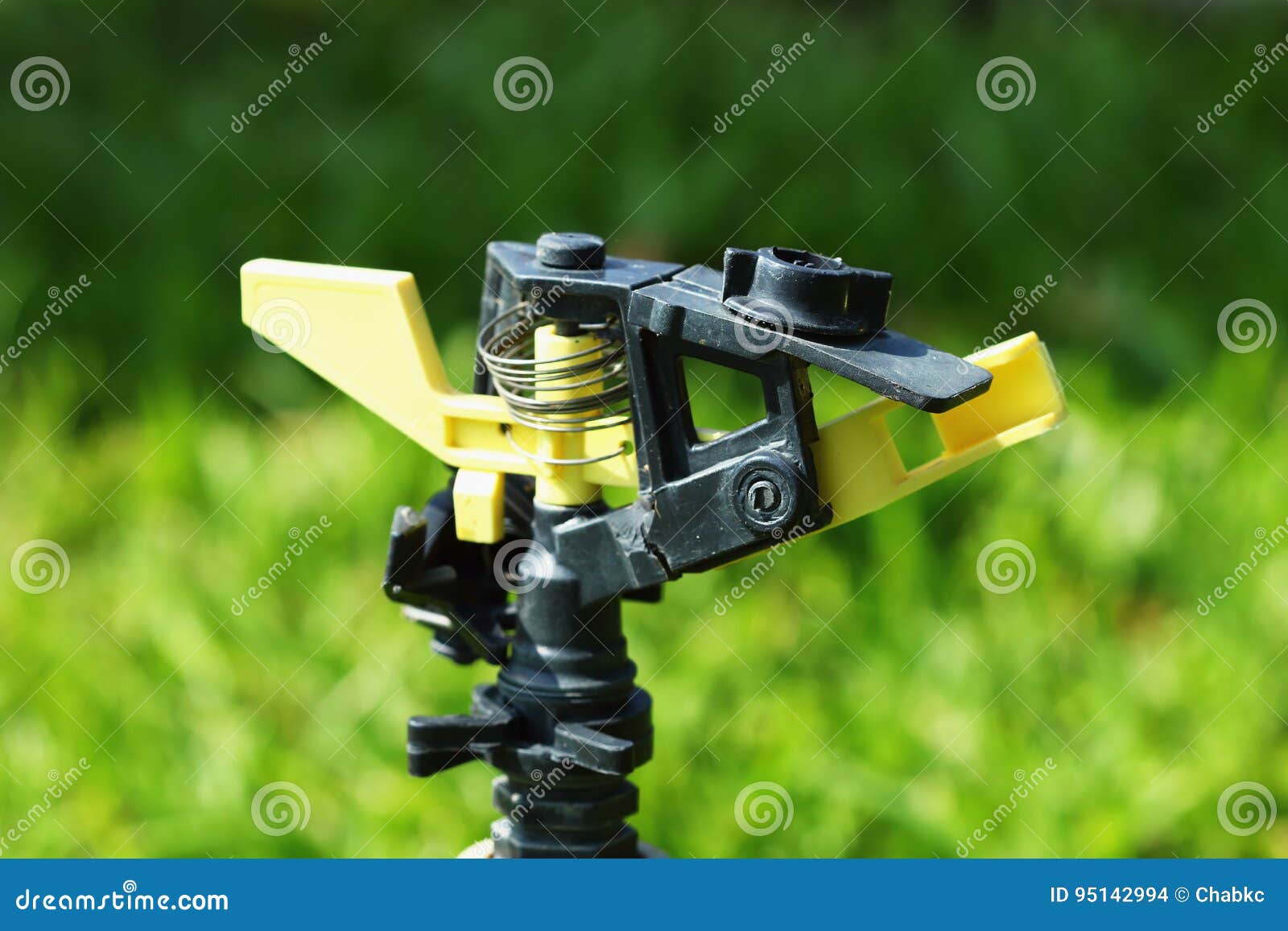 Springer Water Royalty-Free Stock Photo | CartoonDealer.com #86049135