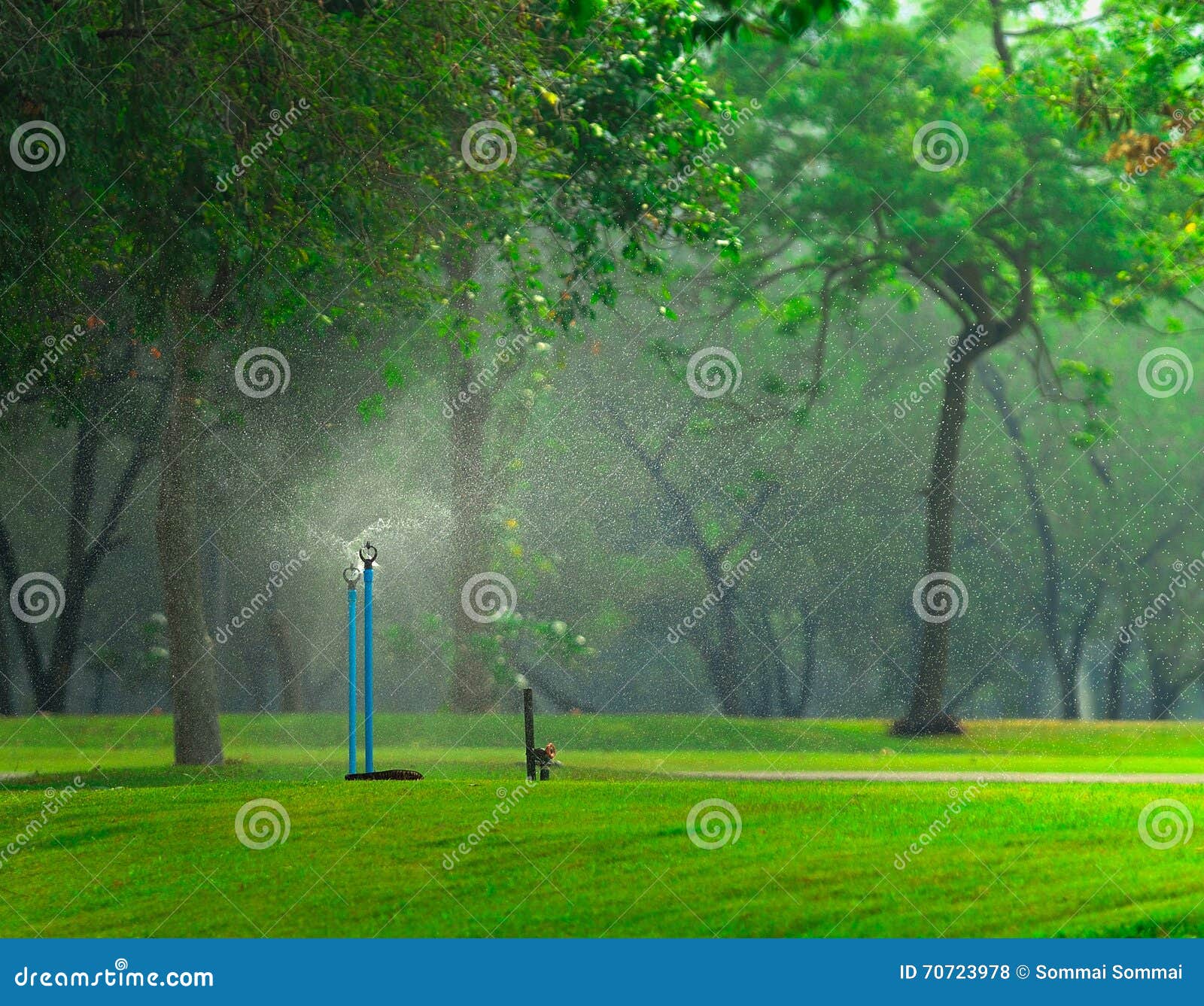 Springer Water Royalty-Free Stock Photo | CartoonDealer.com #86049135