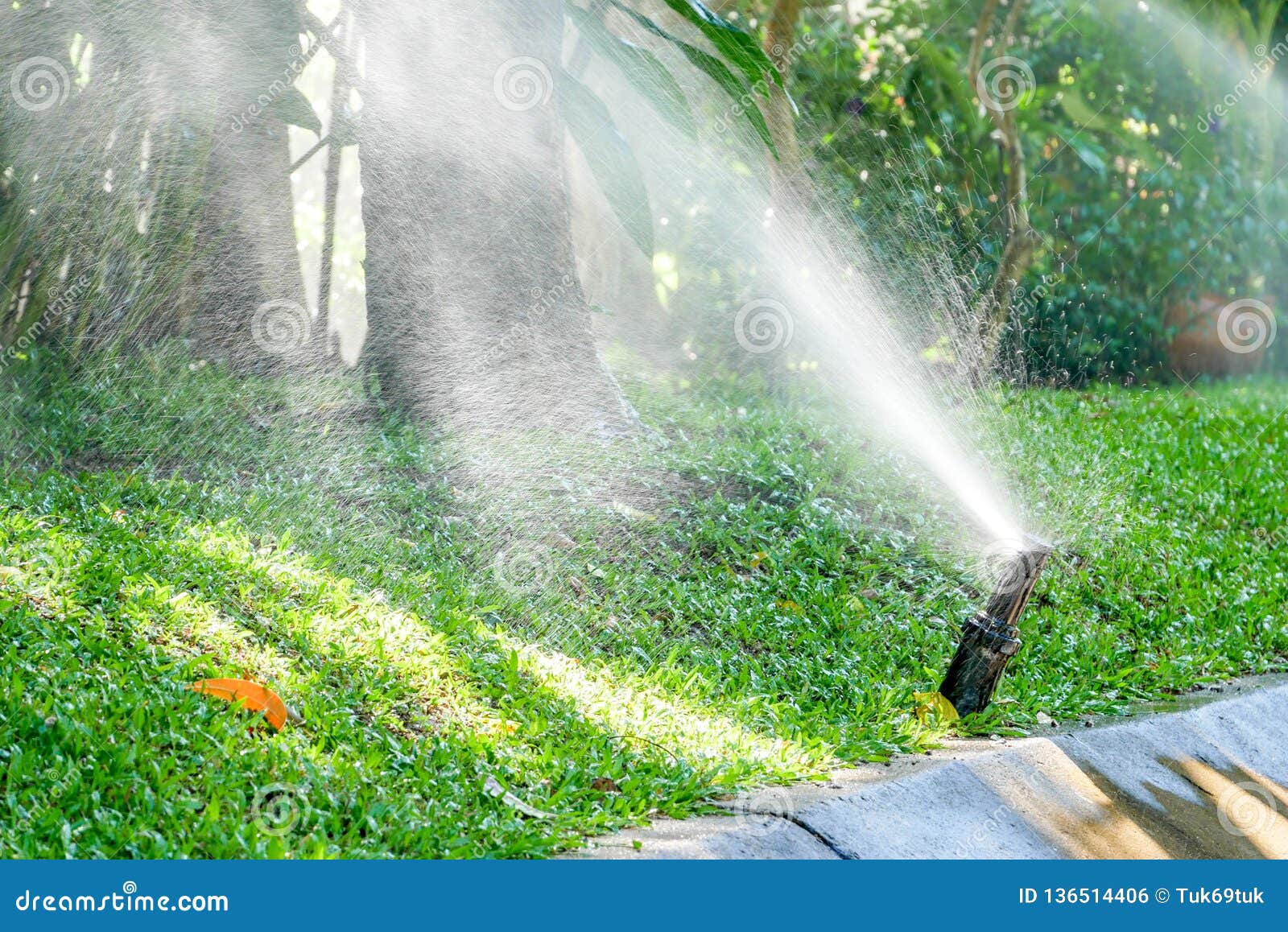Springer Water System in the Garden Stock Photo - Image of plant, fresh ...