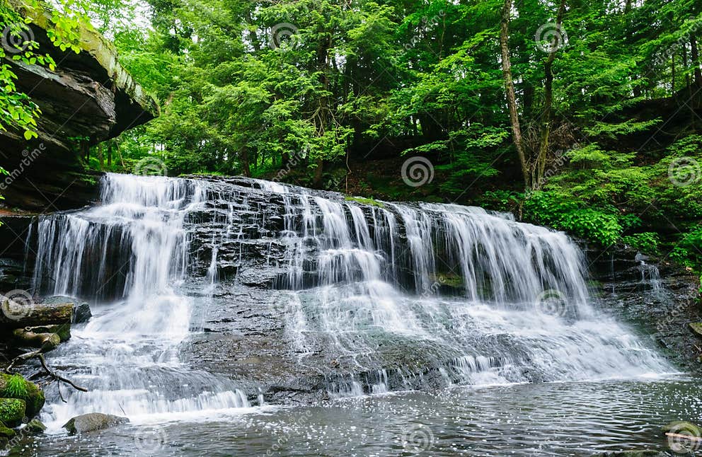 Springfield Falls stock photo. Image of green, waterfall - 61132092