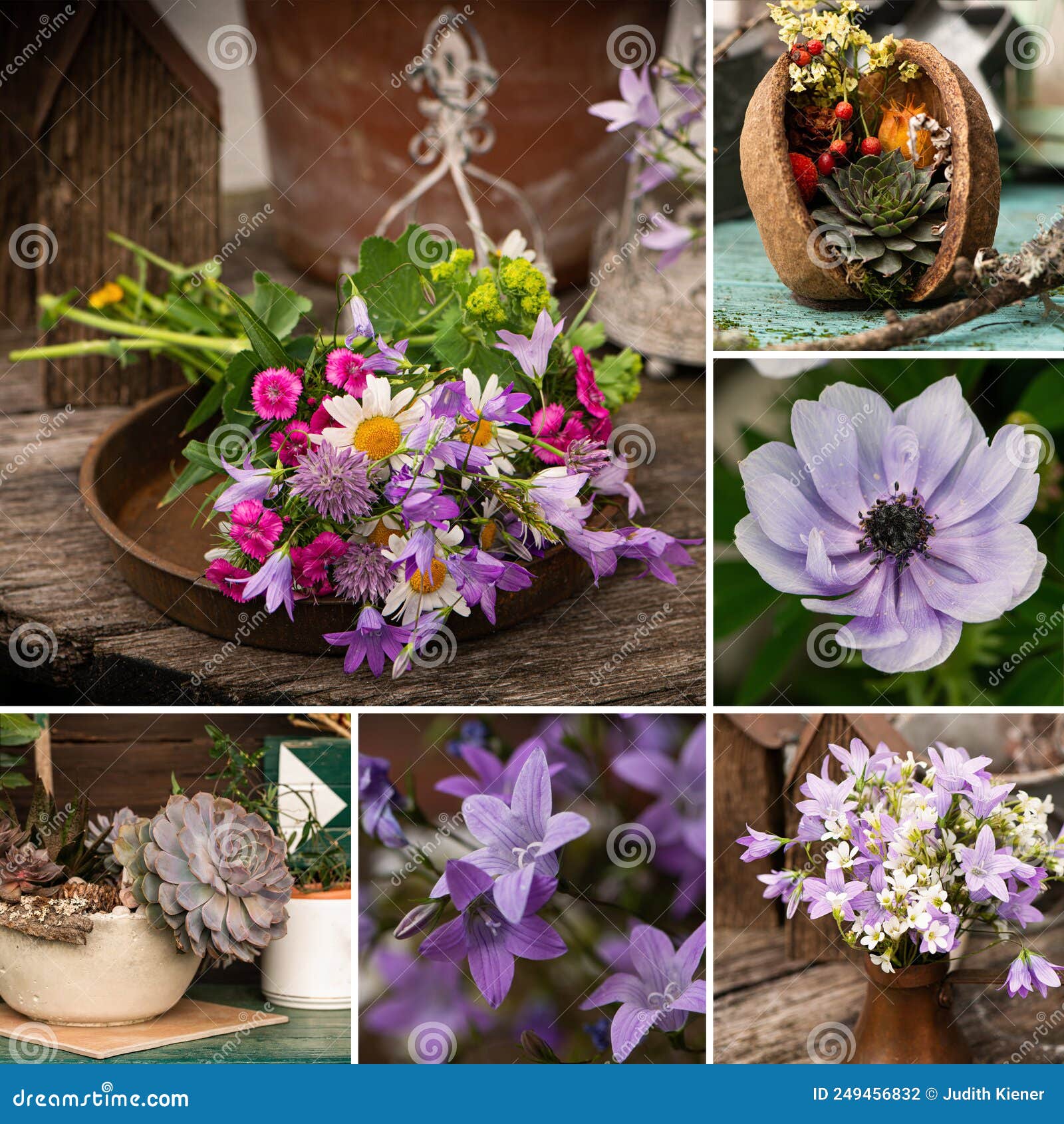 Springflowers - Collage stock photo. Image of beauty - 249456832