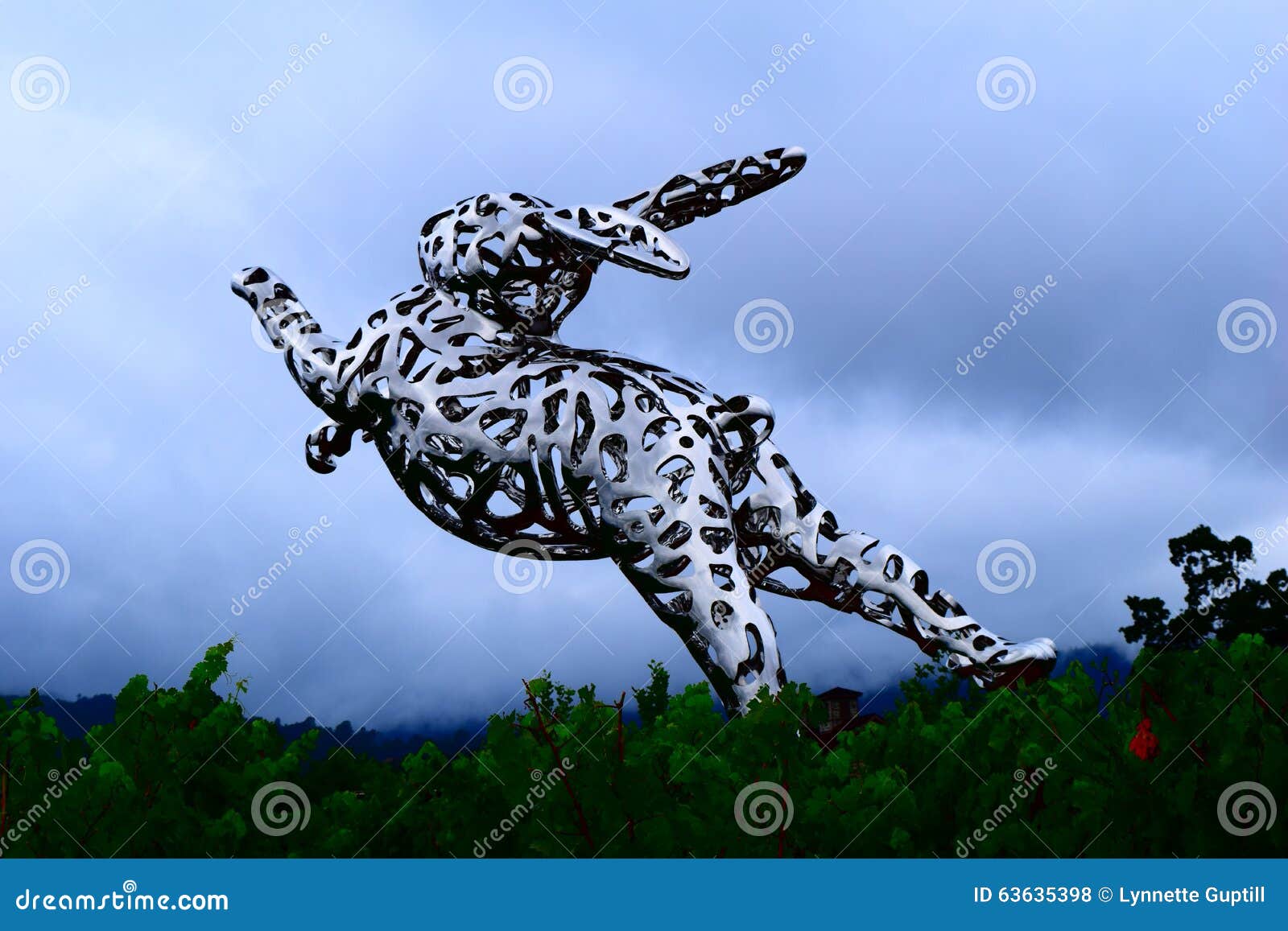 Springing from the Vineyard! Stock Photo - Image of jumping, rabbit ...