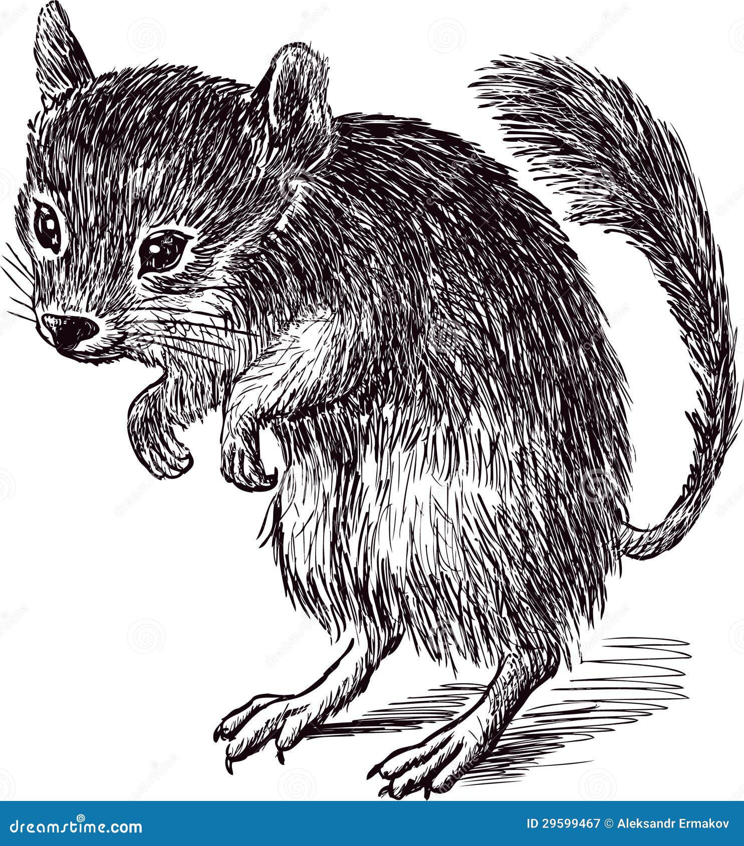 Springmuis vector illustratie. Illustration of knaagdier - 29599467