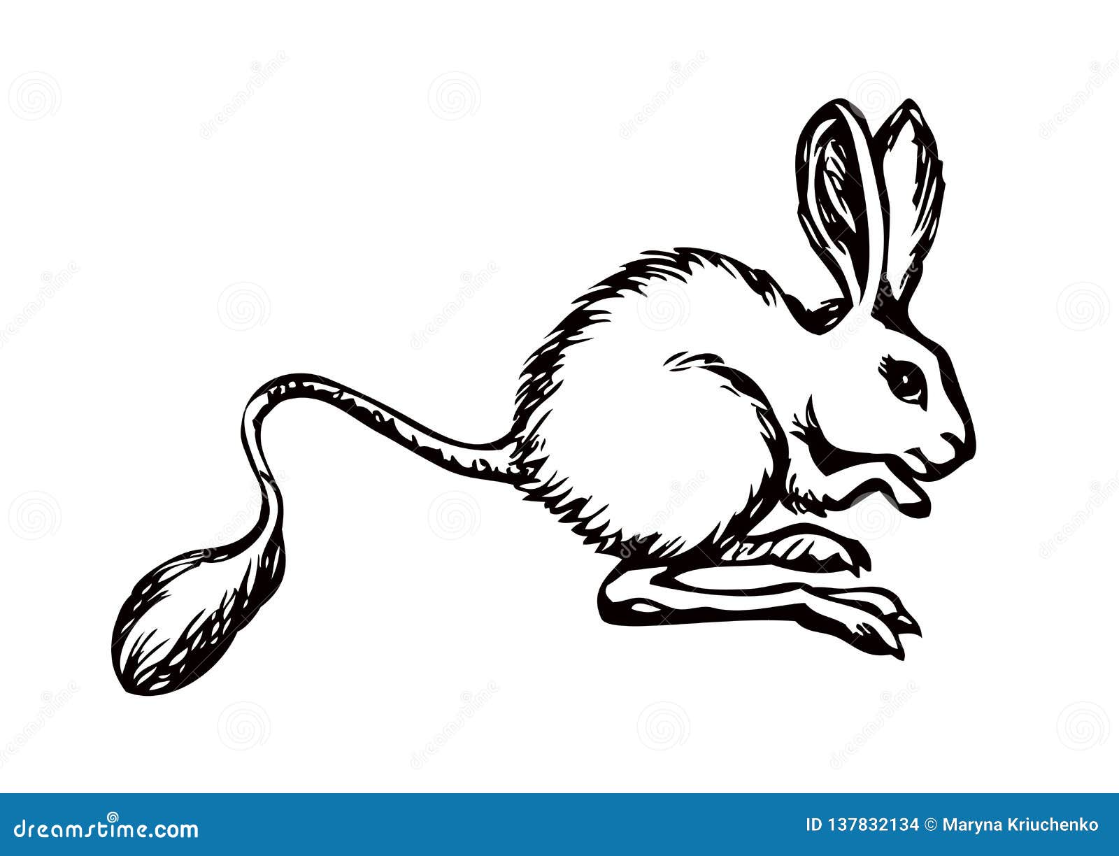 Springmuis Vector tekening vector illustratie. Illustration of hoofd ...