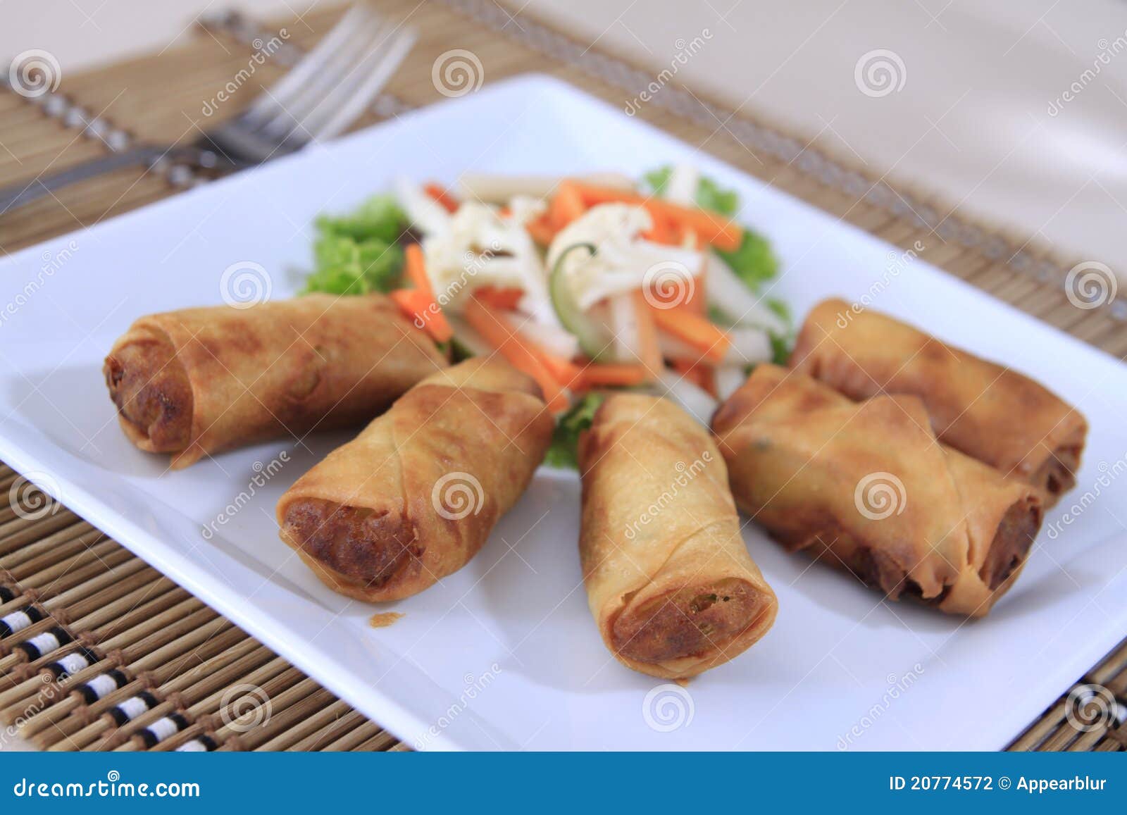 Springroll stock photo. Image of noodles, asia, eggroll - 20774572
