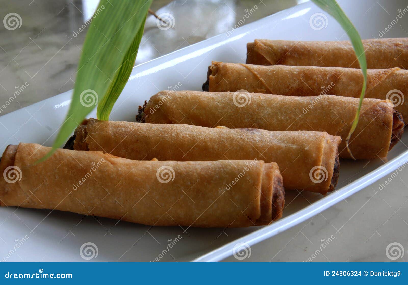 Springrolls stock photo. Image of food, springrolls, fried - 24306324