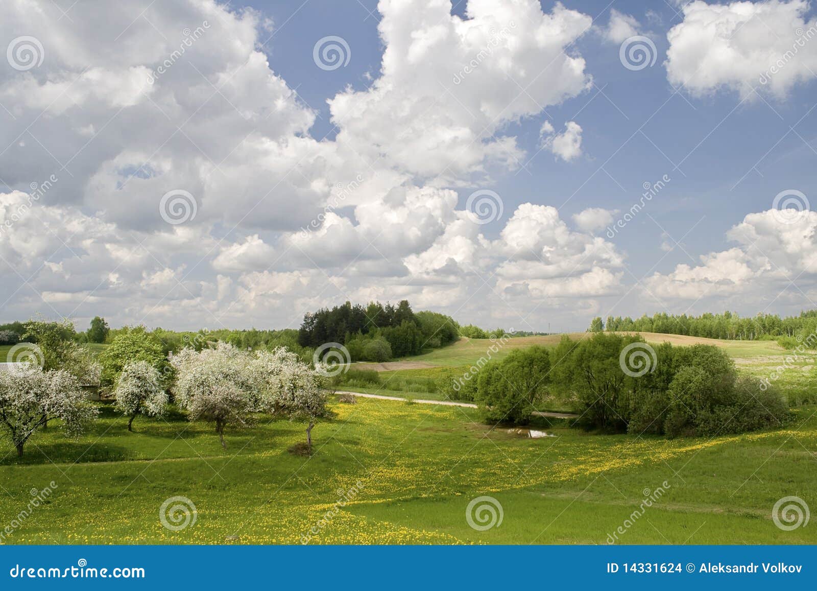 Springs Landscape with Blossoming Apple-trees Stock Photo - Image of ...