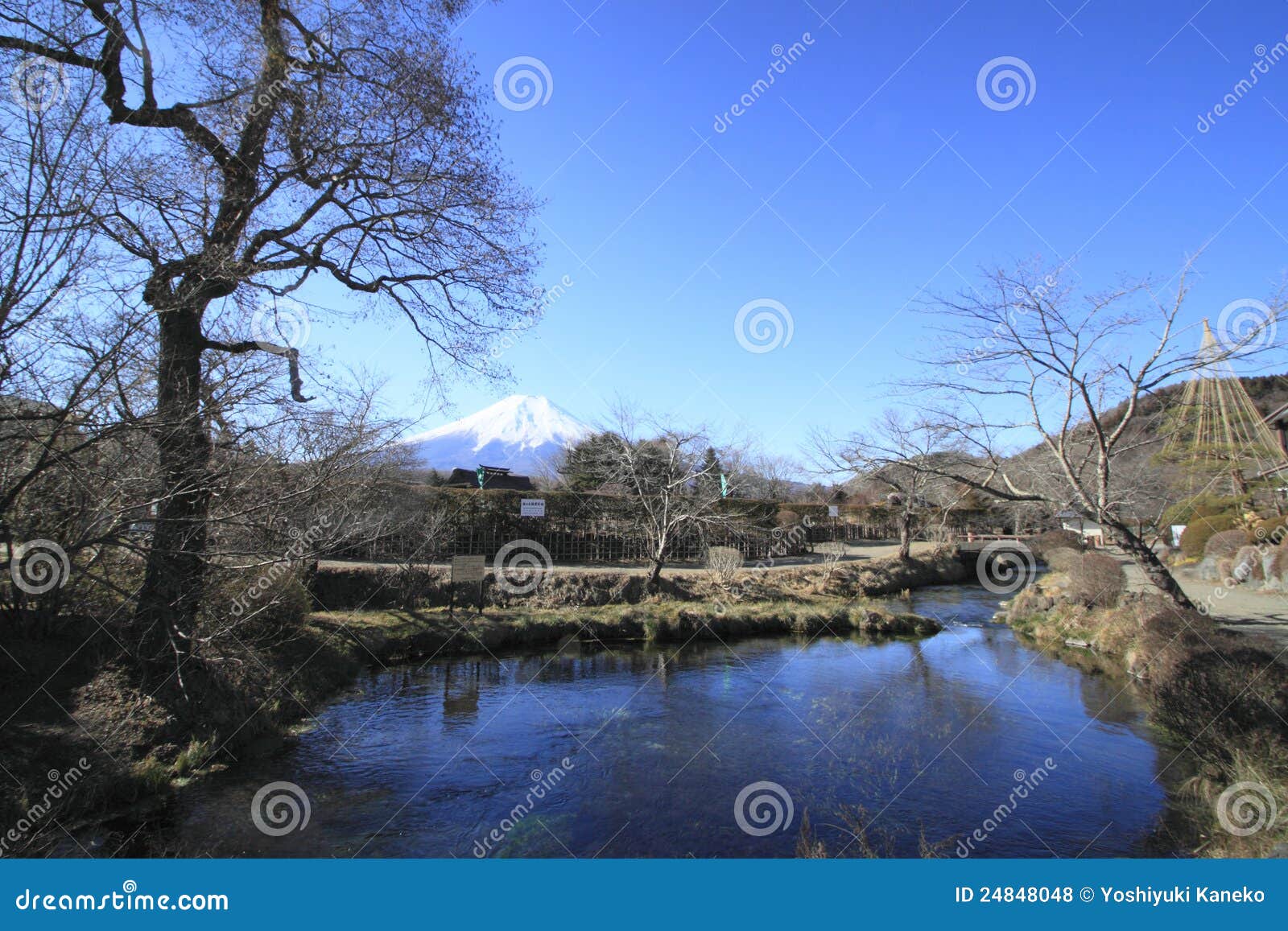 Springs of Mt.Fuji stock photo. Image of water, moutain - 24848048