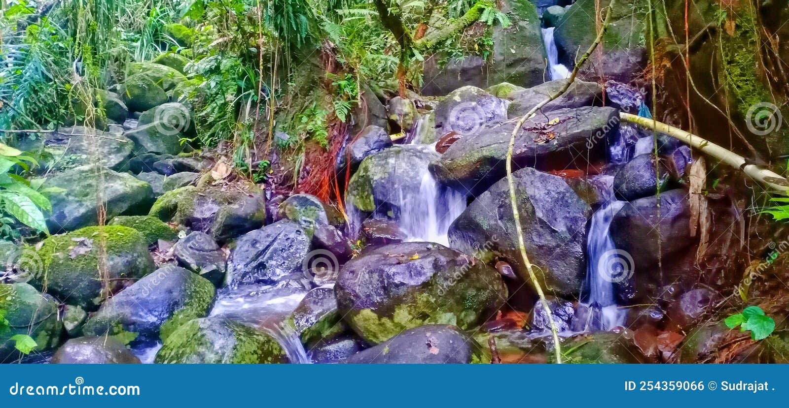 Springs in Tropical Mountain Rocks Stock Photo - Image of mountains ...