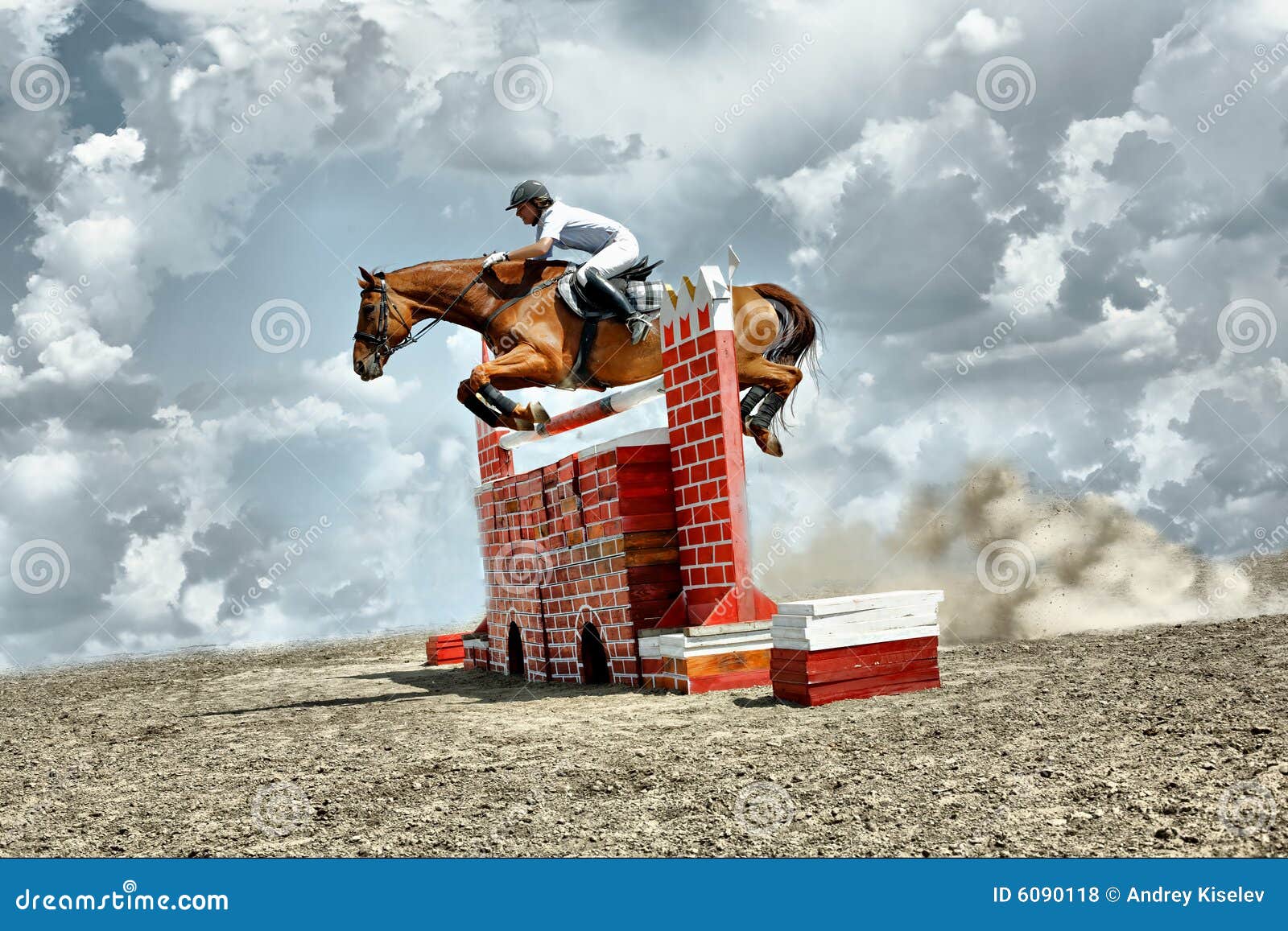 Springt Pferd stockfoto. Bild von melone, tier, stute - 6090118