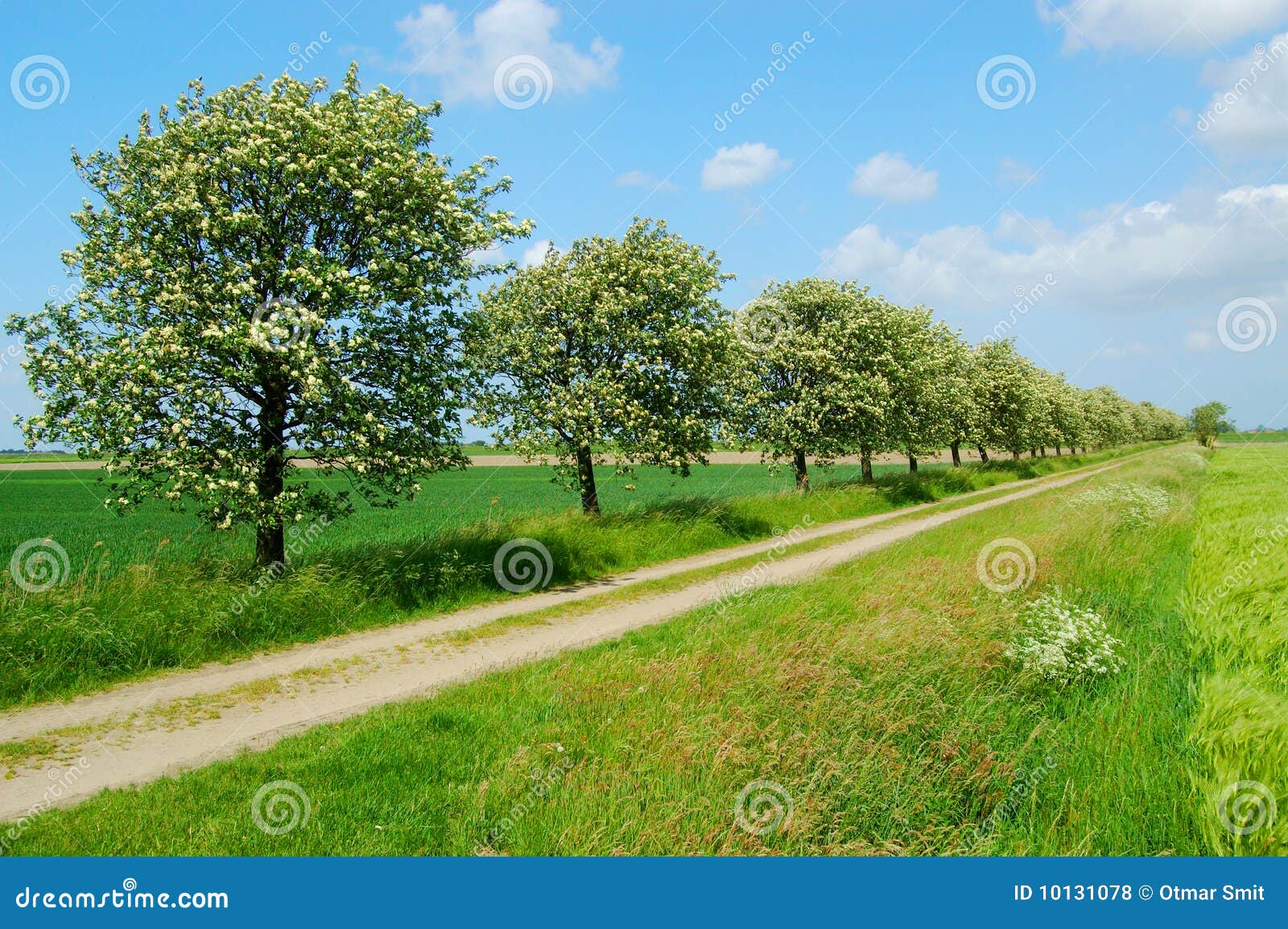 Springtime stock photo. Image of frisian, springtime - 10131078