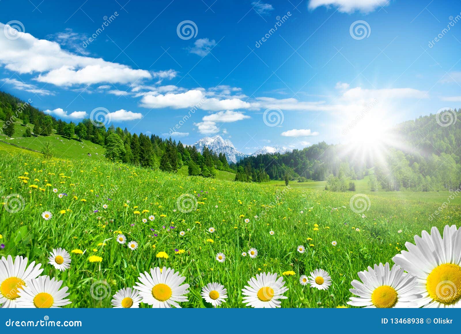 Springtime stock photo. Image of happy, beautiful, mountaineering ...