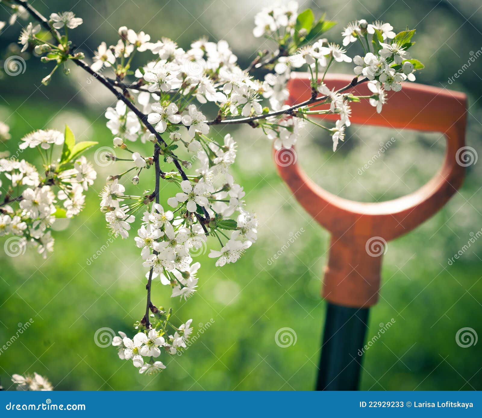 Springtime stock image. Image of tool, plant, shovel - 22929233