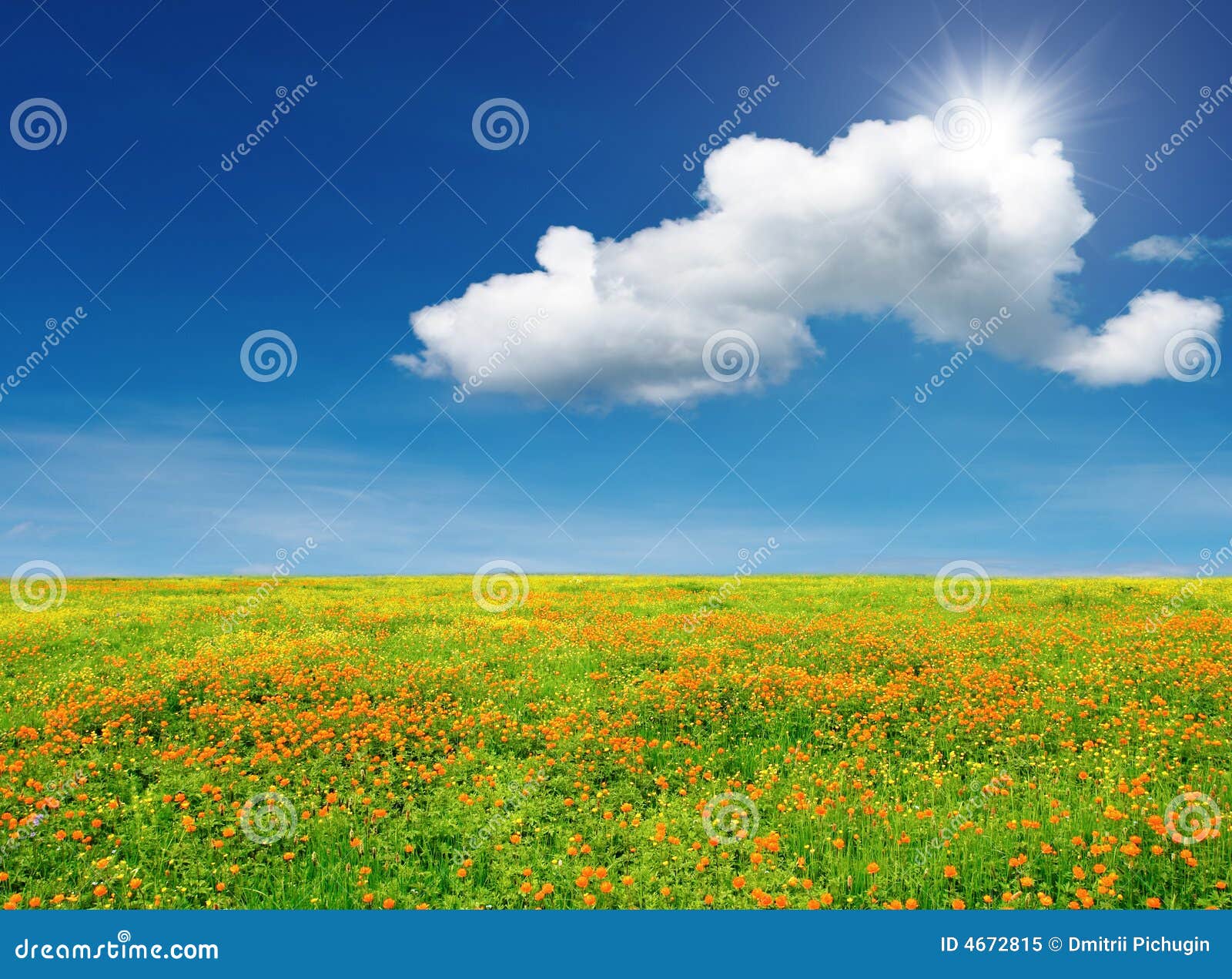 Springtime stock image. Image of sunny, scenery, landscape - 4672815