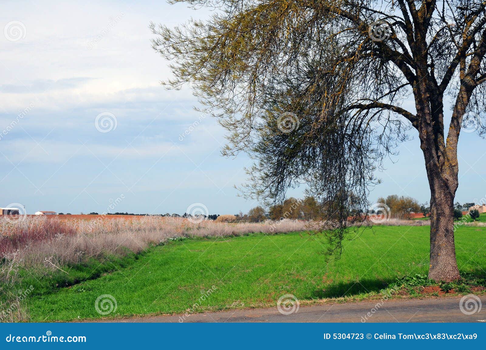 Springtime stock image. Image of outside, calm, rural - 5304723