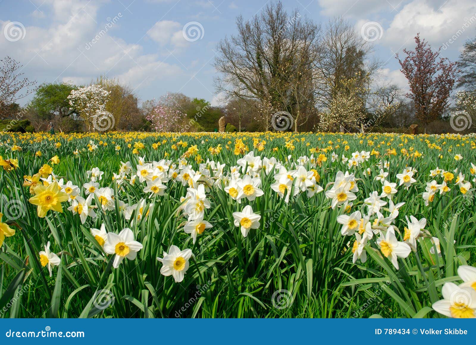 In Springtime stock photo. Image of nature, romantic, grass - 789434