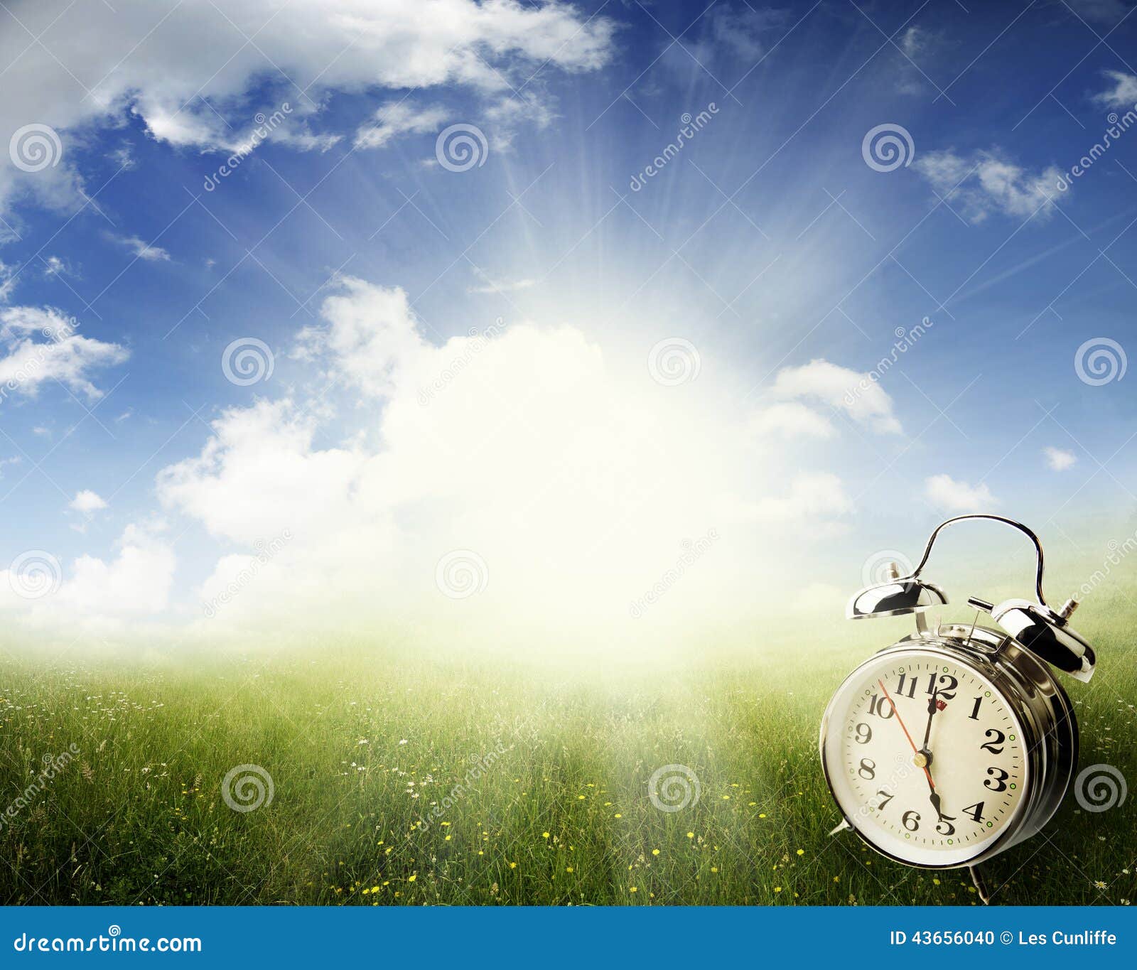 Springtime stock photo. Image of reminder, alarm, meadow - 43656040