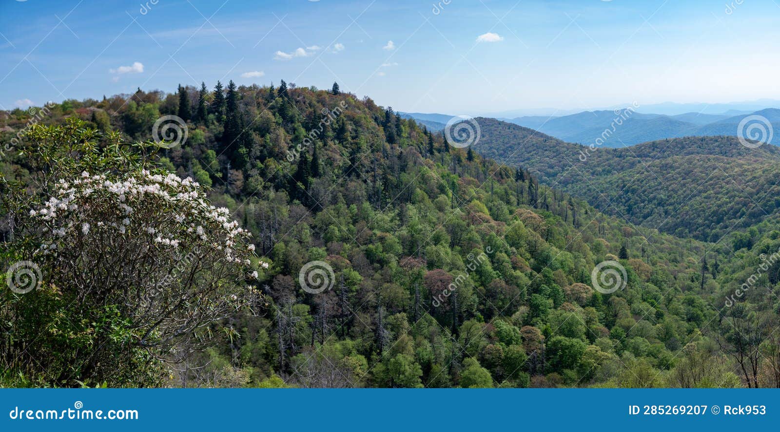 Springtime Appalachian Mountain View Along the Blue Ridge Parkway Stock ...