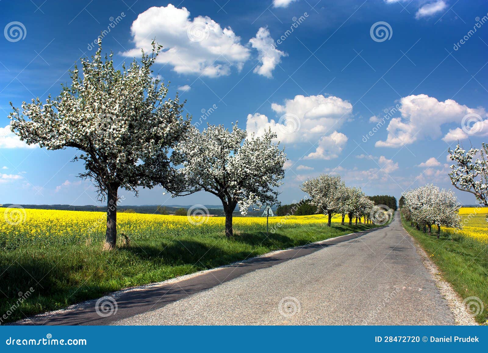 Springtime beautiful view stock photo. Image of blooming - 28472720