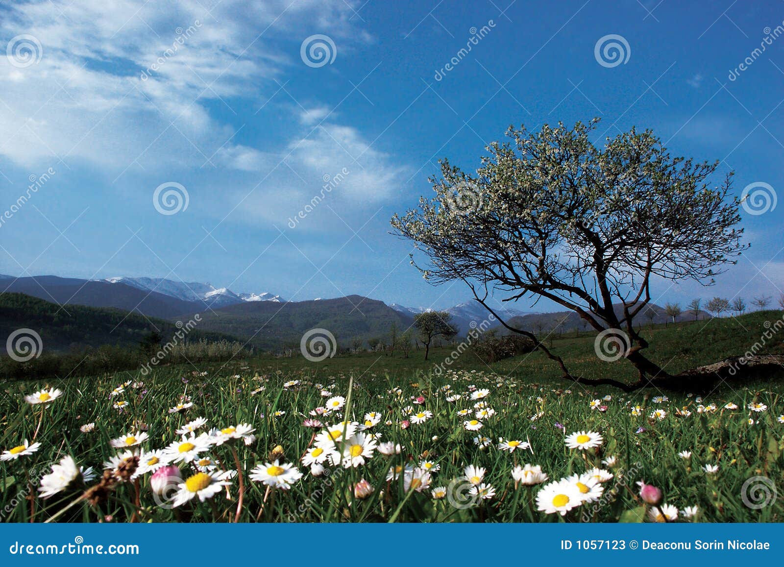 Springtime begin stock image. Image of mountains, clouds - 1057123