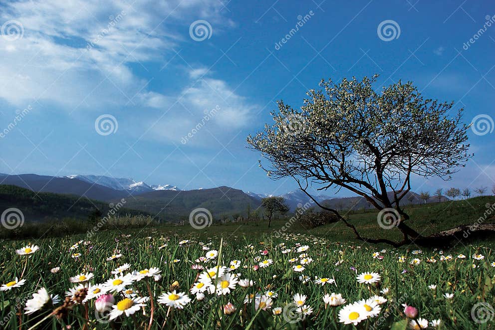 Springtime begin stock image. Image of mountains, clouds - 1057123