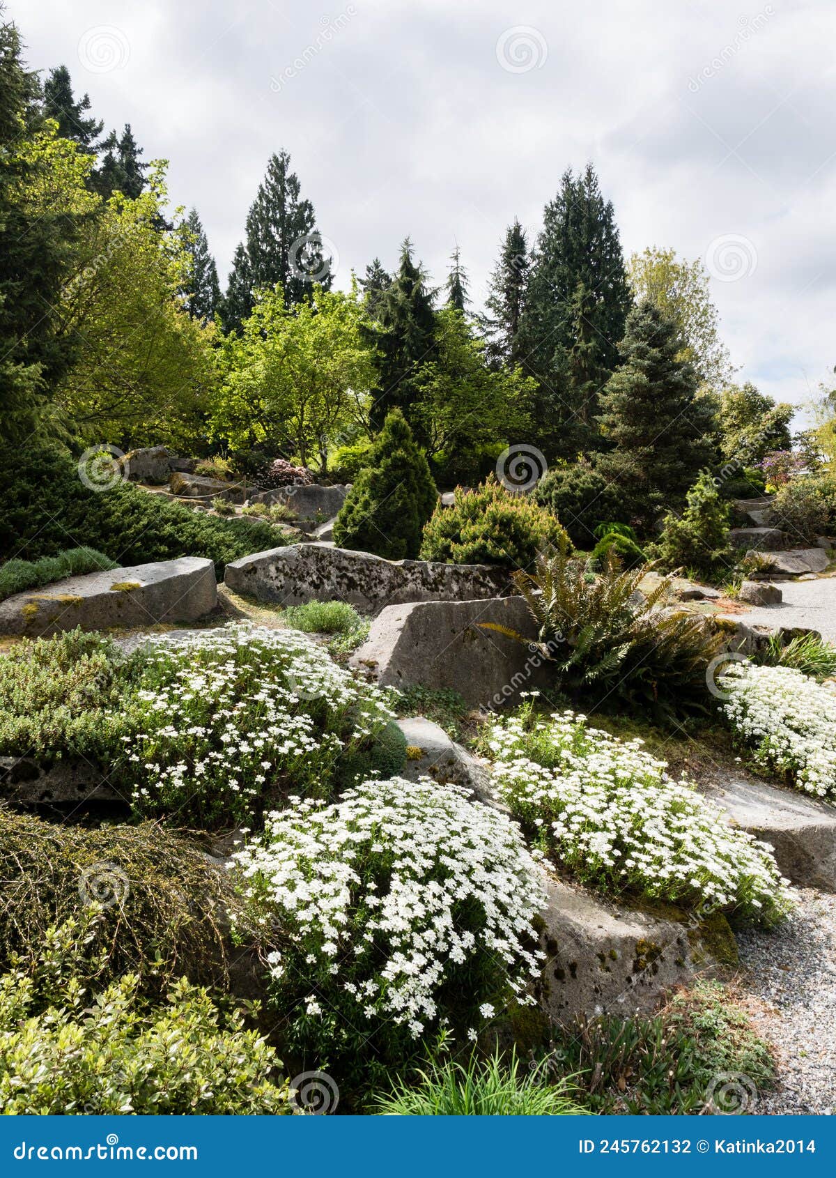 Springtime in Bellevue Botanical Garden Stock Photo - Image of nature ...