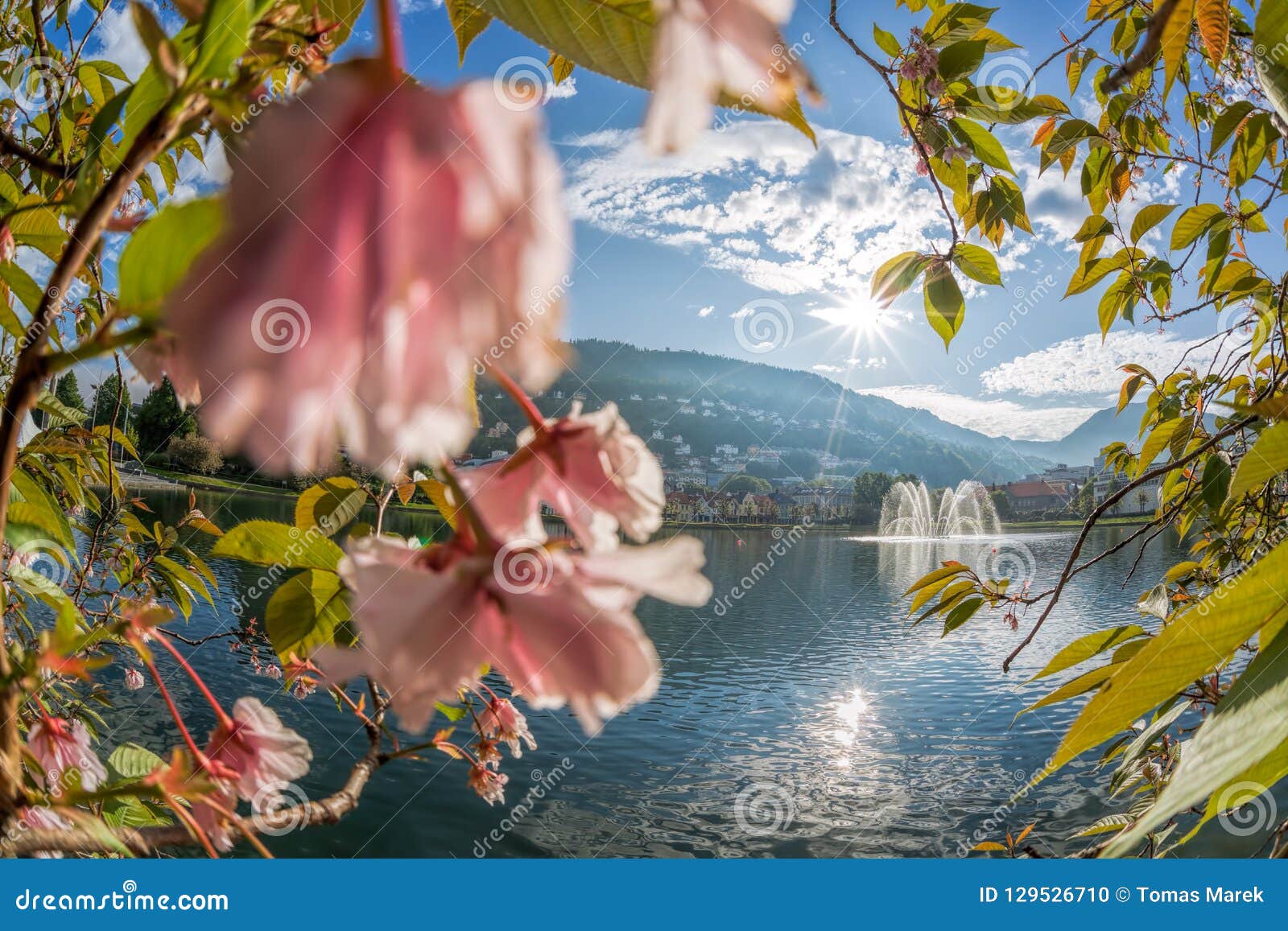 Springtime in Bergen, Norway Stock Photo - Image of city, bryggen ...