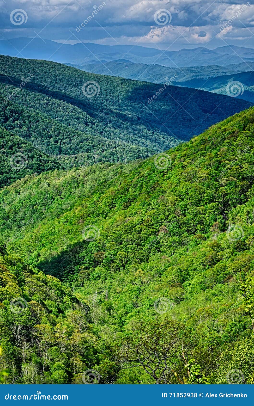 Springtime in the Blue Ridge Mountains Stock Photo - Image of ridges ...