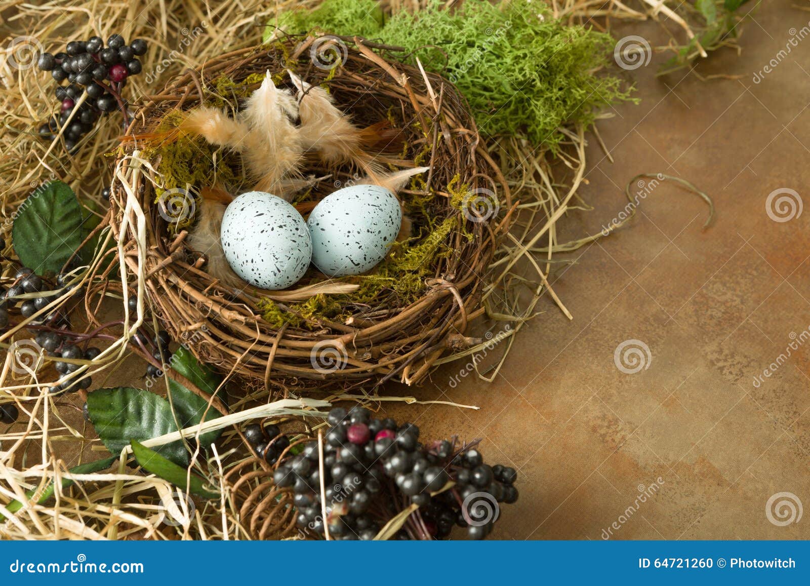 Springtime Border with Nest Stock Photo - Image of copyspace, bird ...