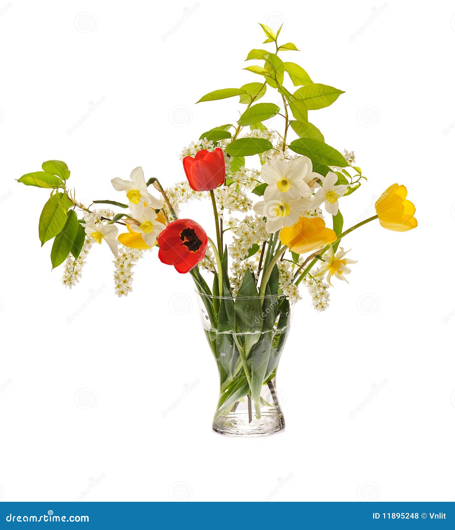 Springtime bouquet stock photo. Image of leaf, glass - 11895248