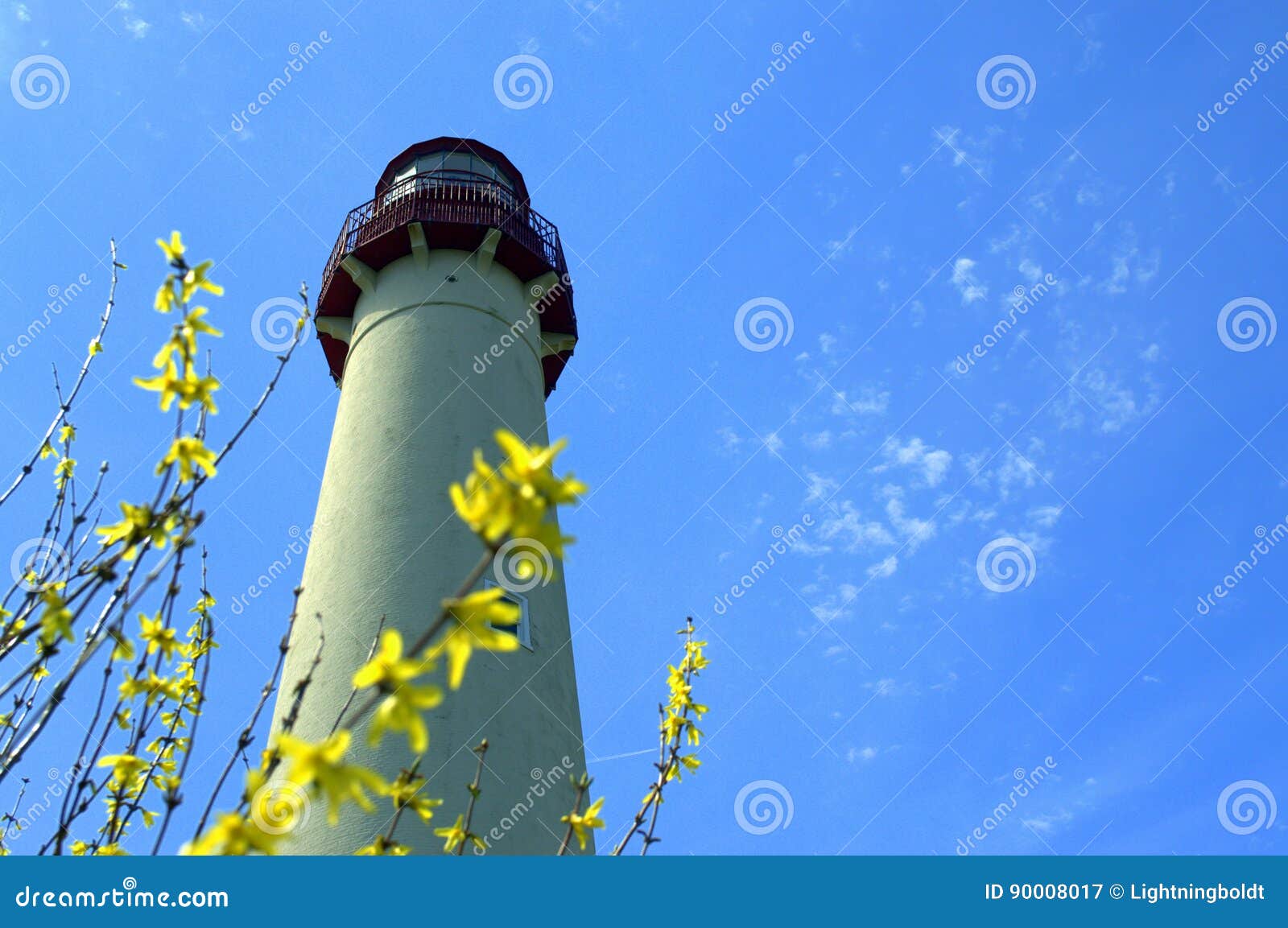 Springtime in Cape May stock image. Image of forsythia - 90008017