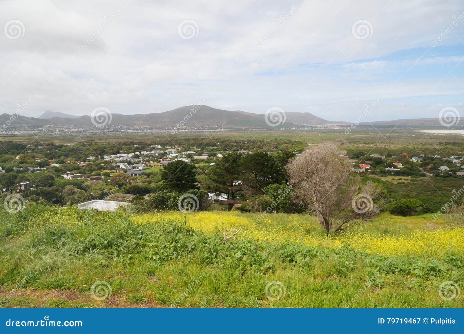 Springtime in Cape Town,South Africa. Stock Image - Image of mountain ...