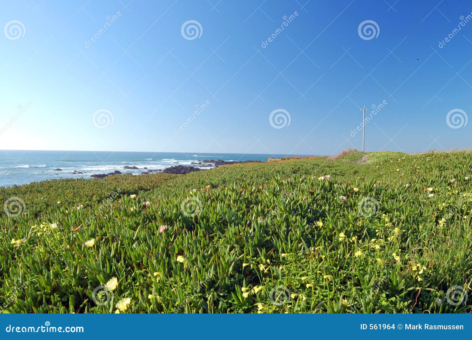 Springtime coastal meadow stock photo. Image of pole, idyllic - 561964