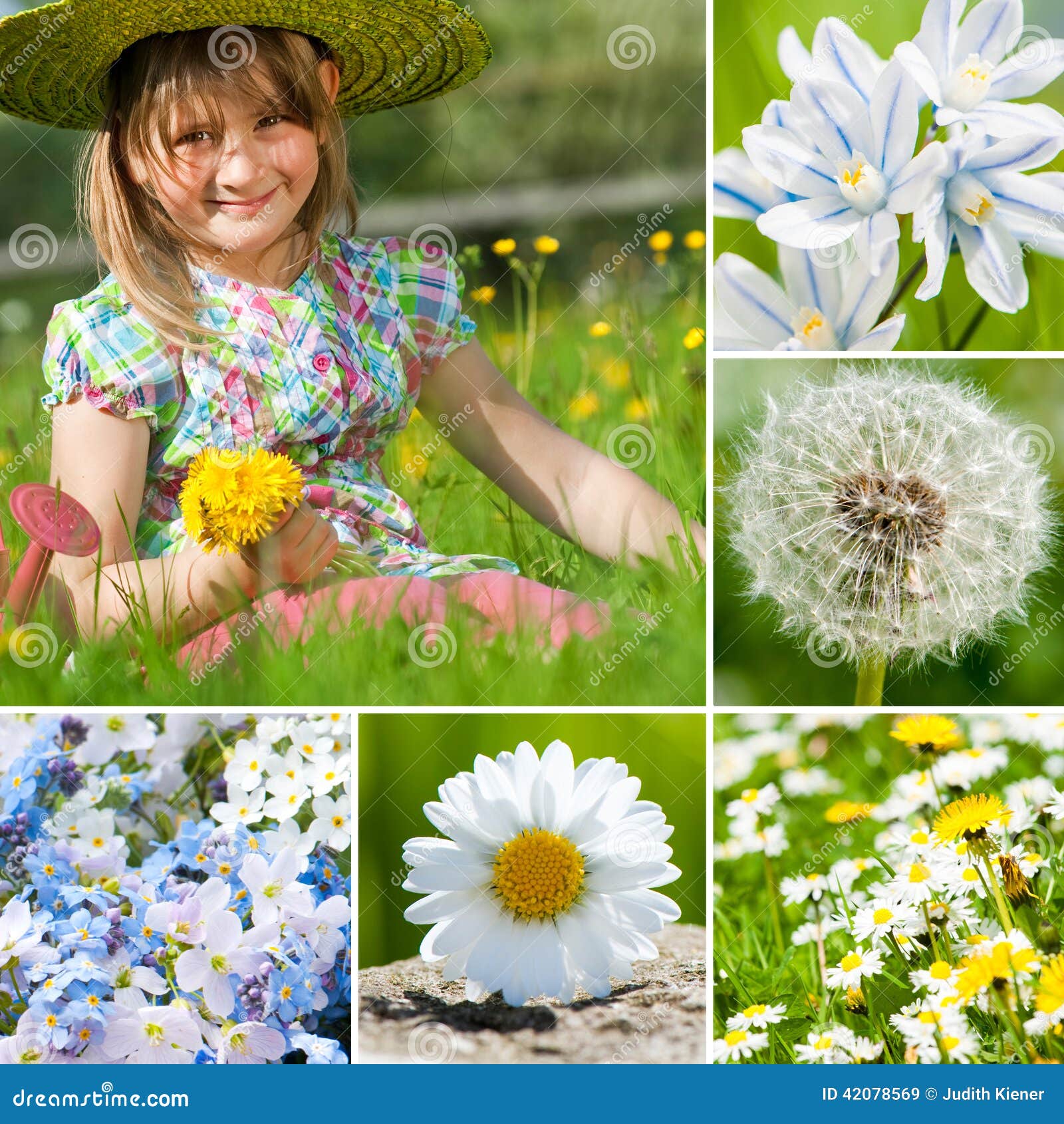Springtime collage stock image. Image of dandelions, green - 42078569