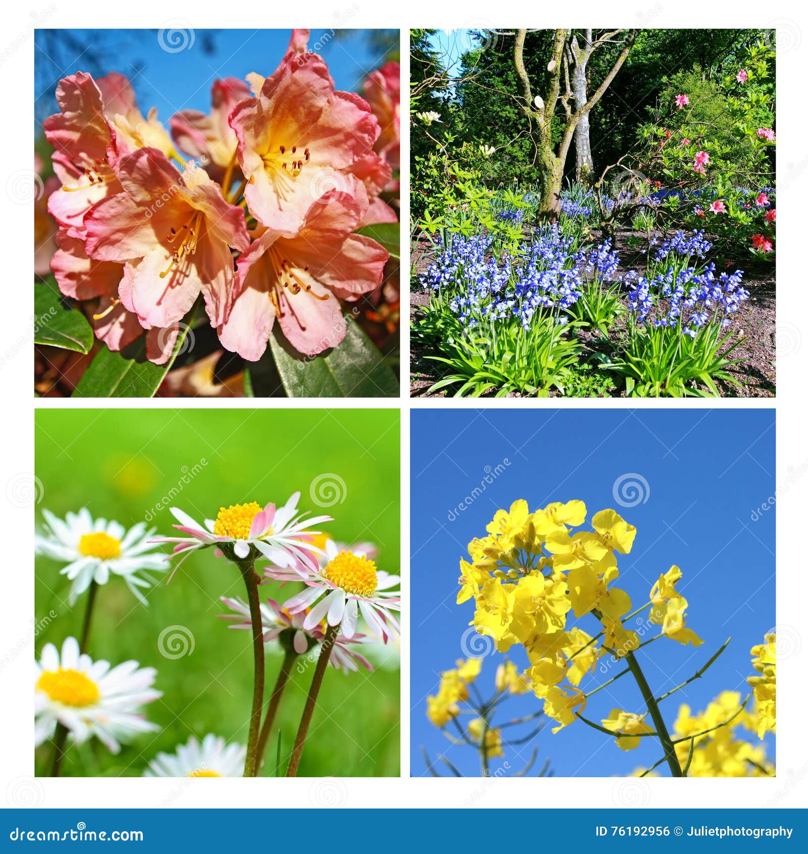 Springtime Collage of Fresh Flowers Stock Photo - Image of collage ...