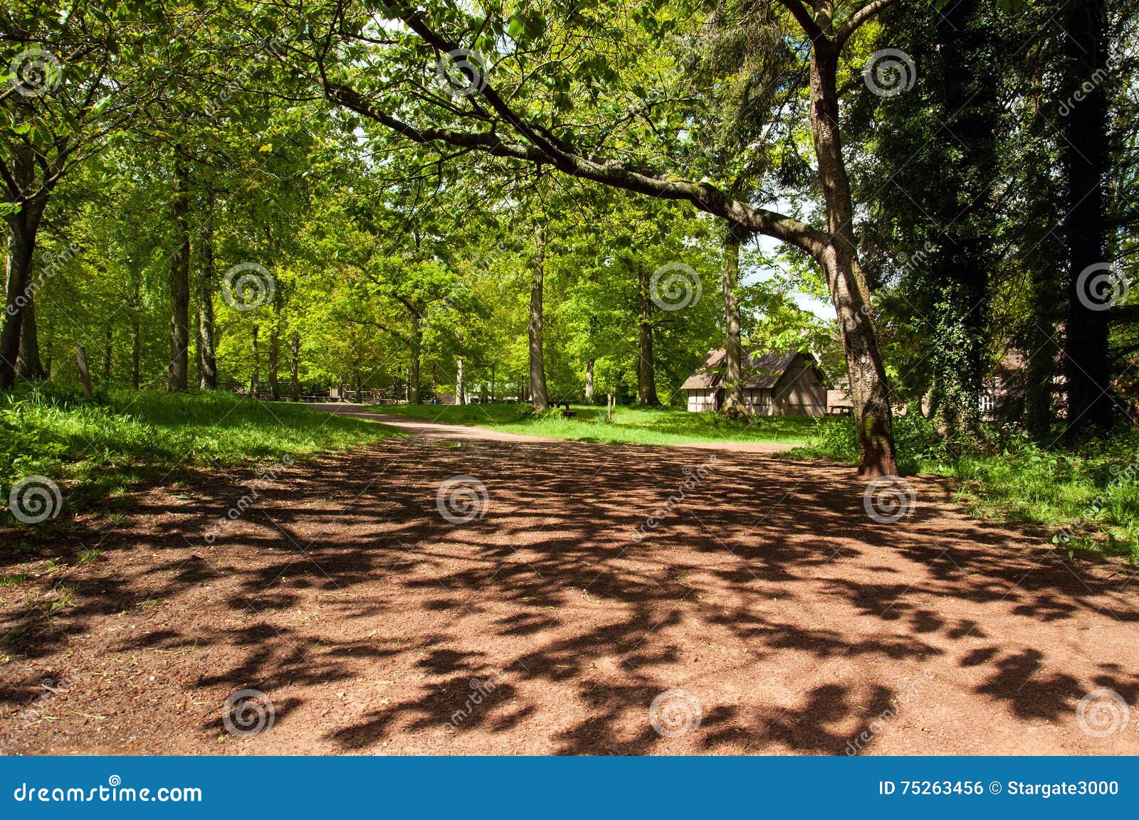 Springtime Countryside with Silhouettes from the Trees. Stock Photo ...