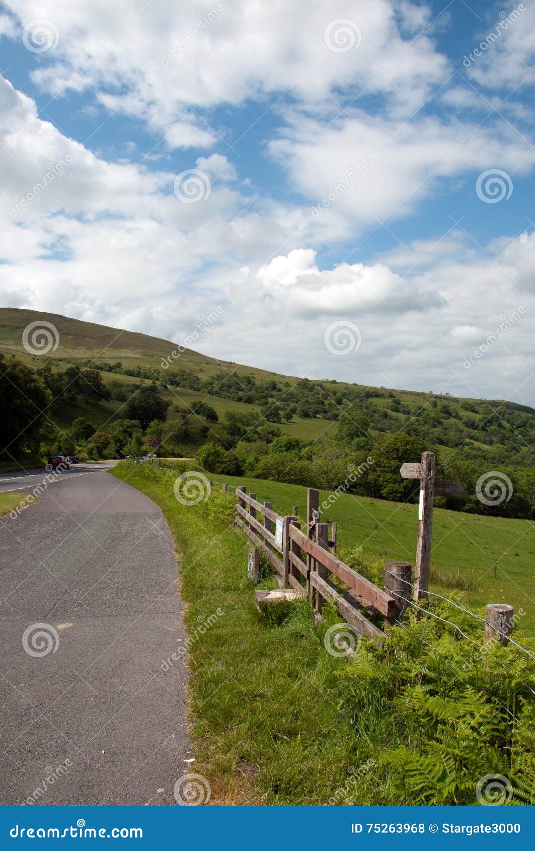 Springtime Countryside Trees. Stock Photo - Image of landscapes, plant ...