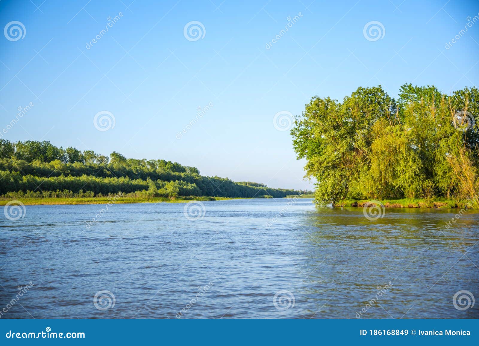 Springtime in Danube Delta stock image. Image of aquatic - 186168849
