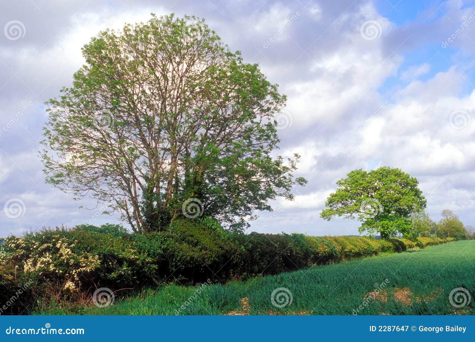 Springtime in England stock image. Image of europe, landscape - 2287647