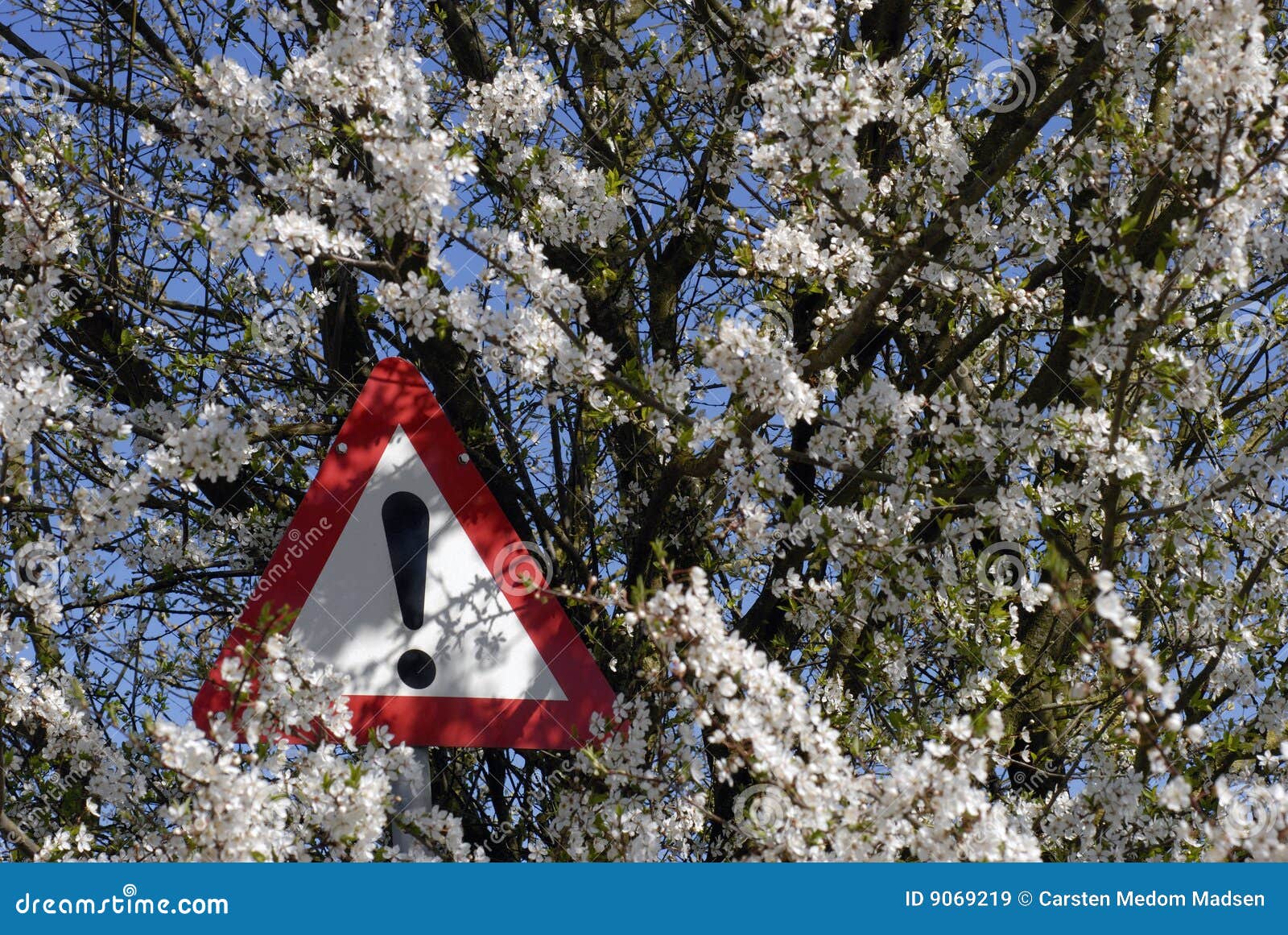 Springtime Exclamation Mark Stock Image - Image of nature, season: 9069219