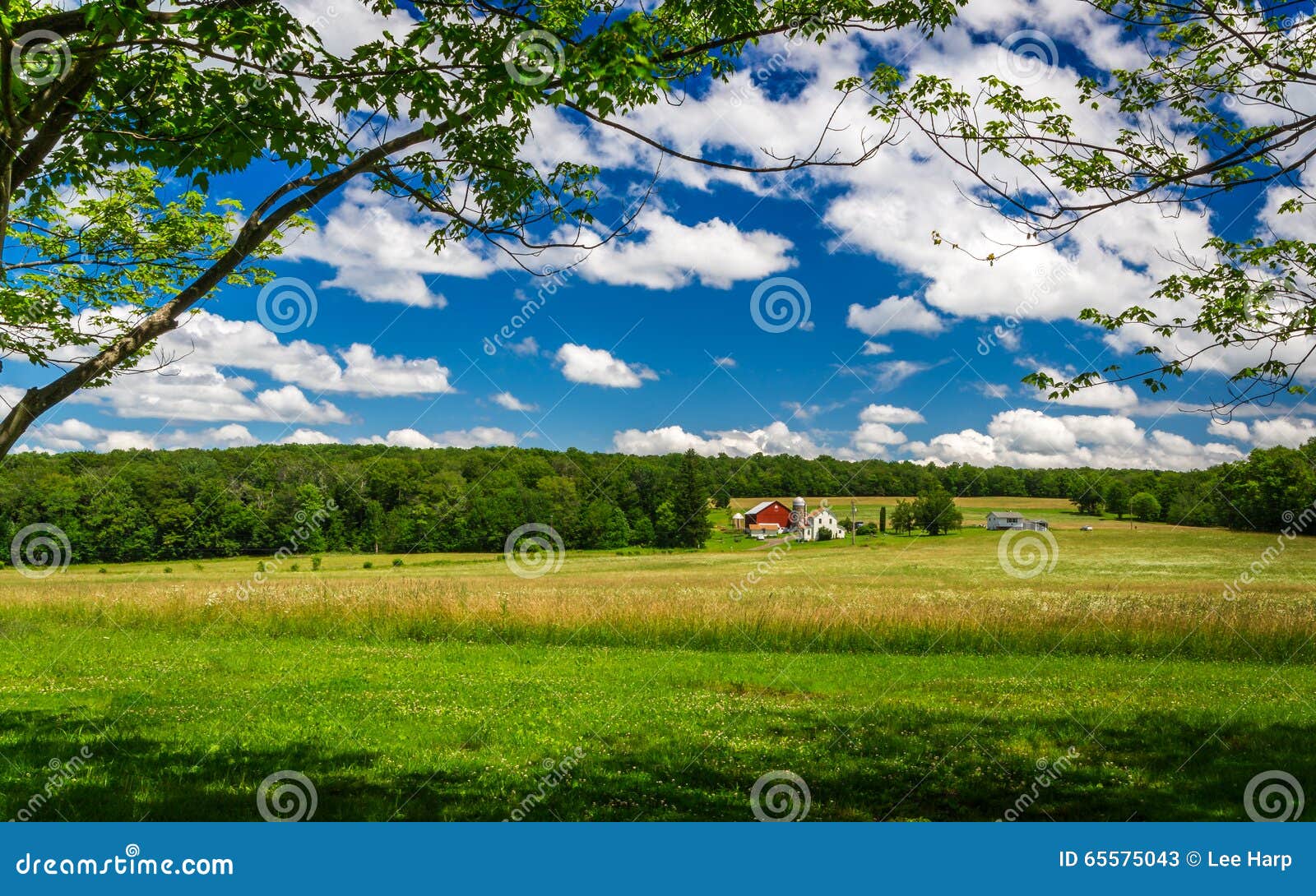 Springtime farm stock image. Image of fibonacci, mountains - 65575043