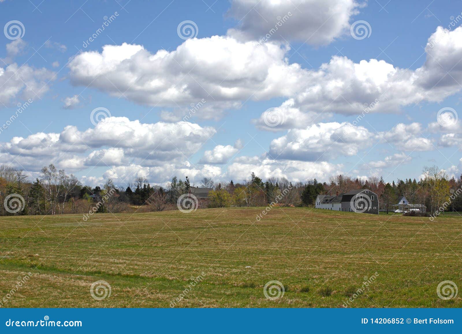 Springtime Field with Cloud Filled Sky Stock Photo - Image of grass ...