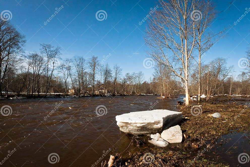 Springtime Flooding in Jugla River Stock Image - Image of cold ...
